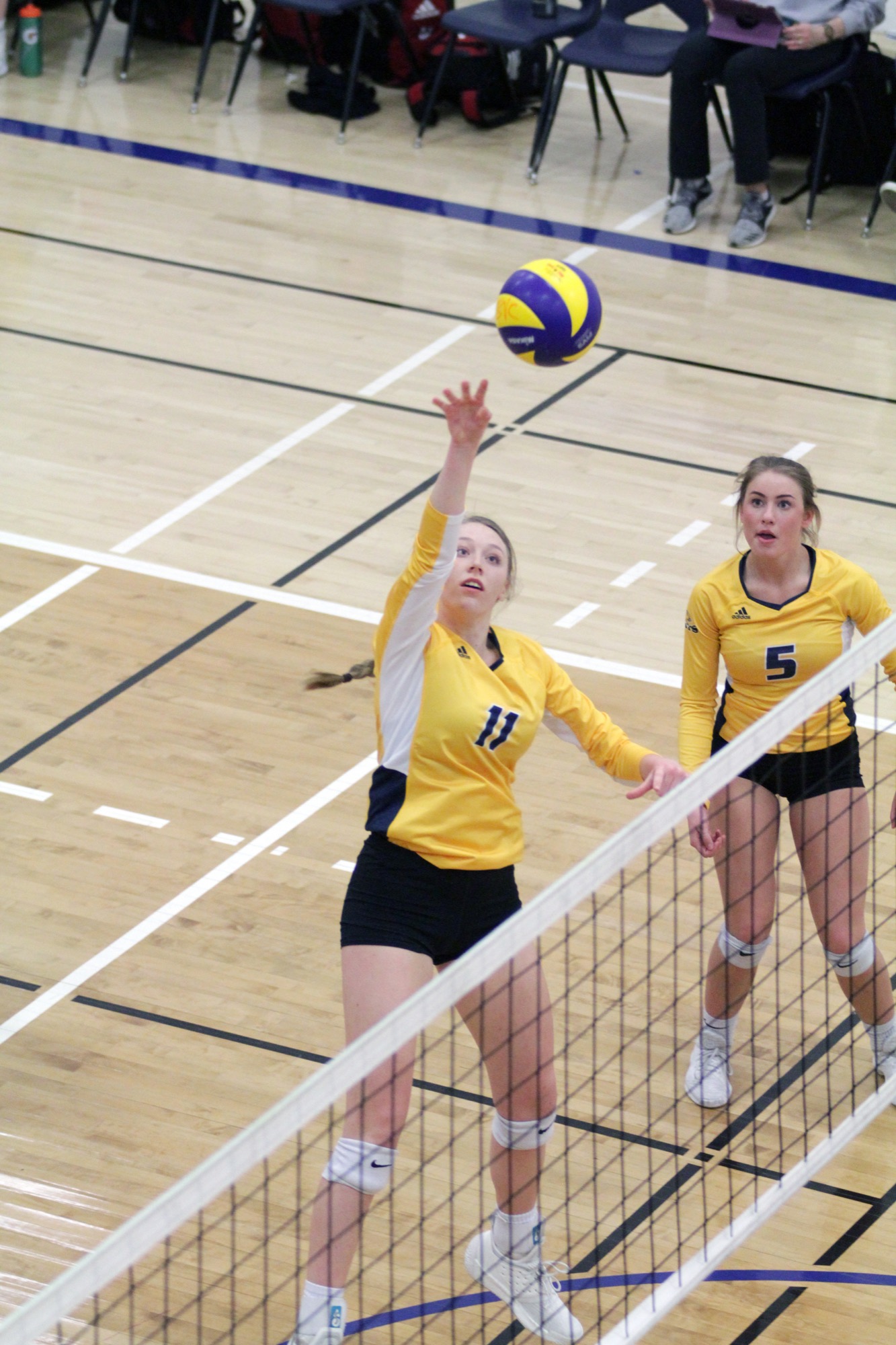 Dynamic Vincent Massey duo joining Bobcats – Brandon Sun