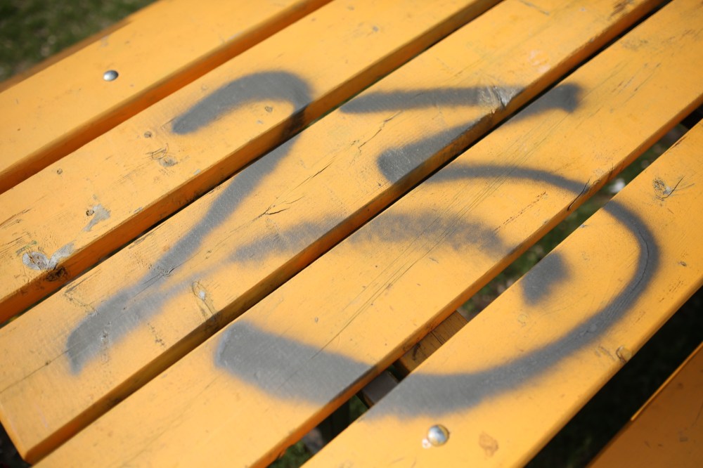 Rideau Park hit with graffiti – Brandon Sun