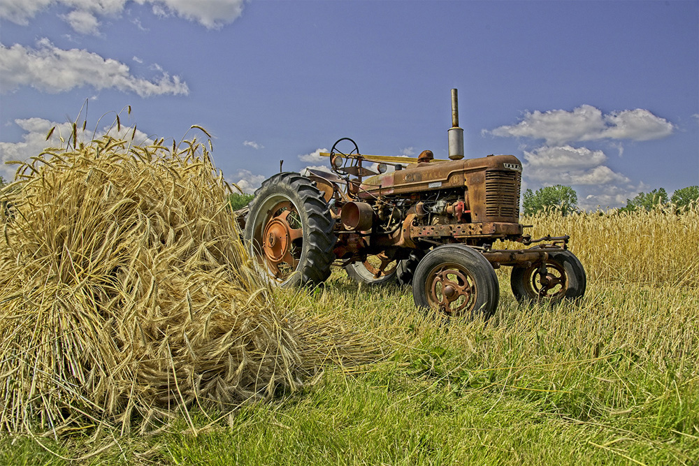 Ten places to visit in Westman this summer – Brandon Sun