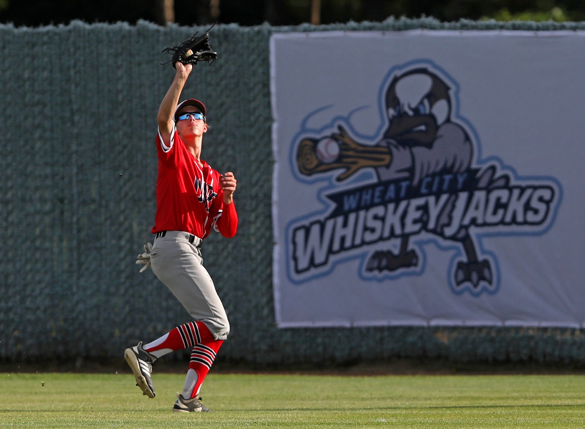 Robertson edges Guns closer to pennant – Brandon Sun