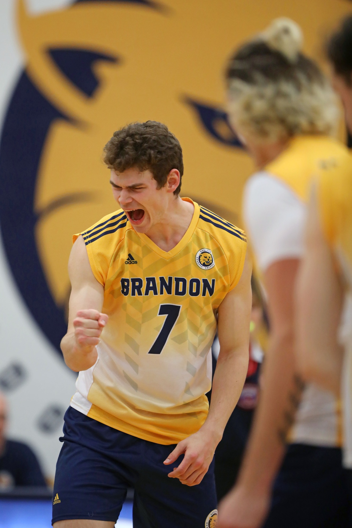 Friesen back with the Bobcats – Brandon Sun