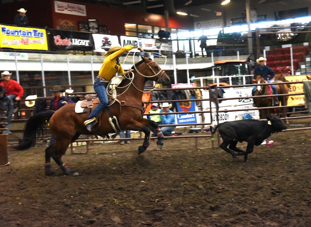 Whoopin’ it up at Virden Indoor Rodeo – Brandon Sun