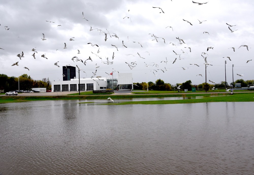Rainfall causing street flooding – Brandon Sun