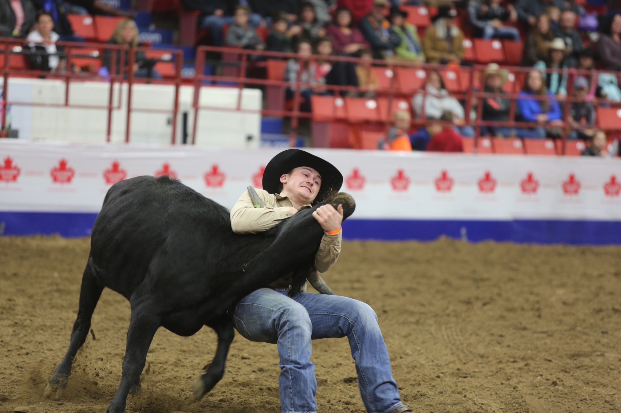 Hard work pays off at Manitoba Finals Rodeo – Brandon Sun