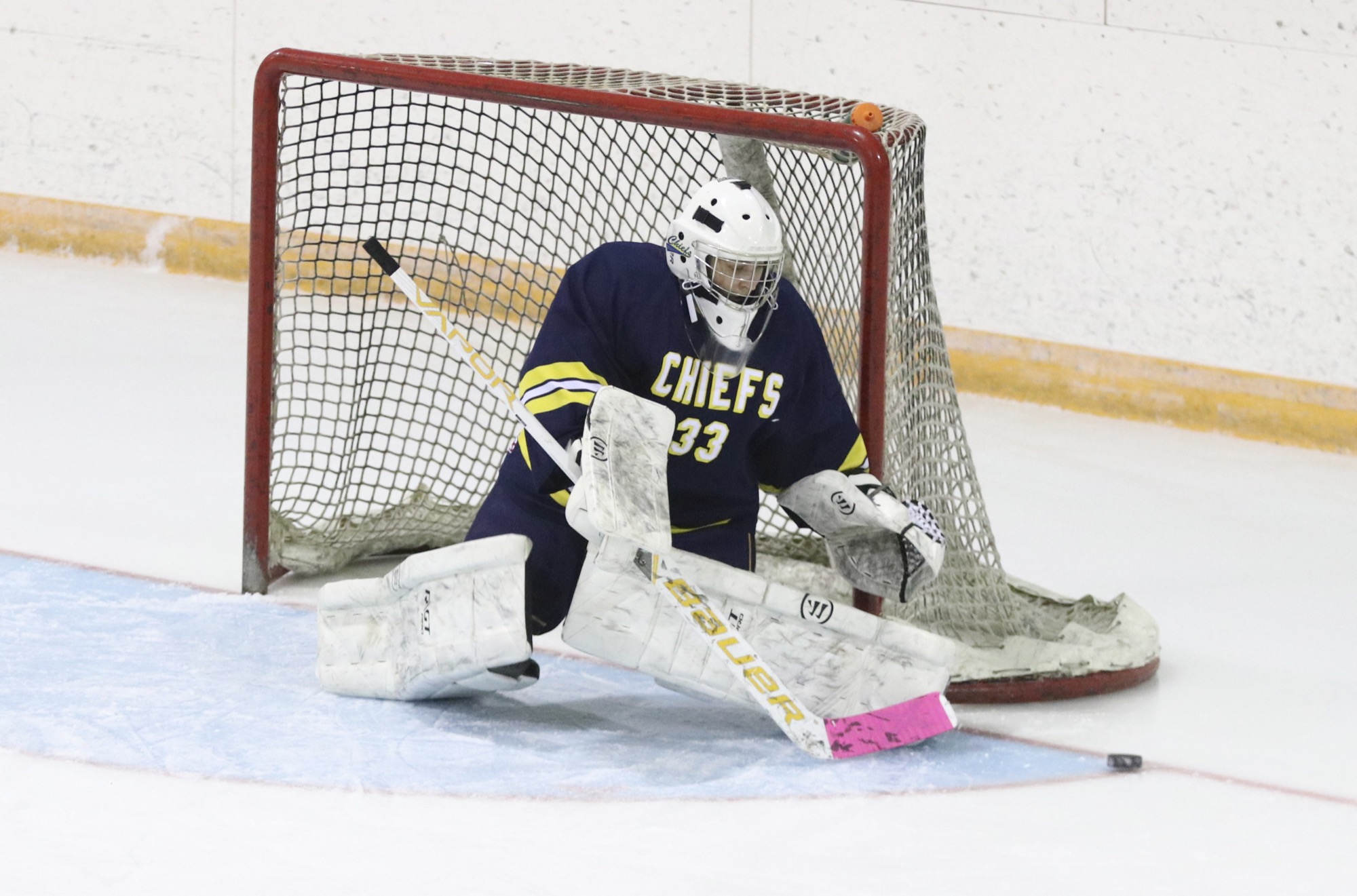 McIntosh, Murray joining Cougars – Brandon Sun