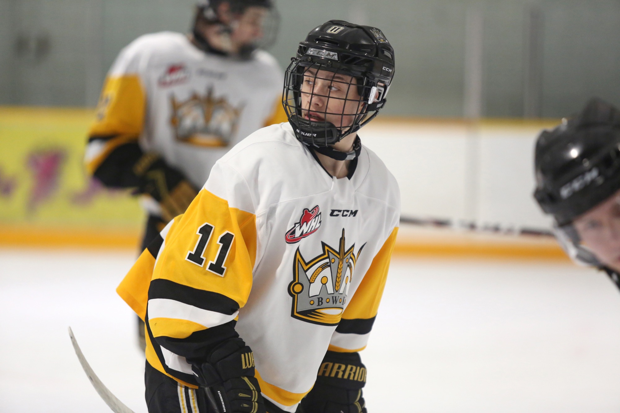 Keeble, Guthrie face adversity in first season – Brandon Sun