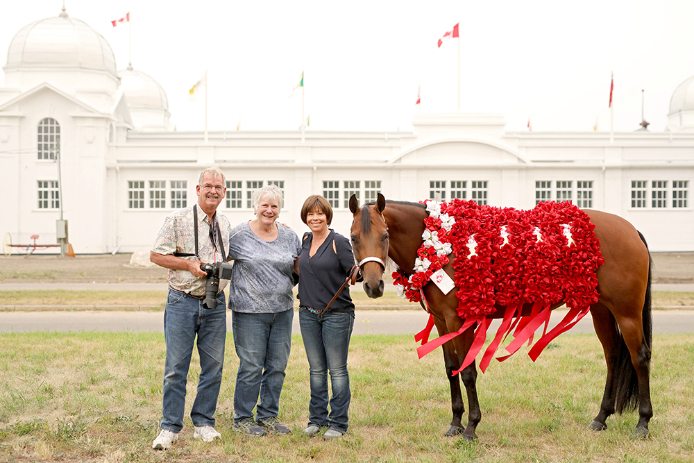 Arabian horse show cancelled – Brandon Sun