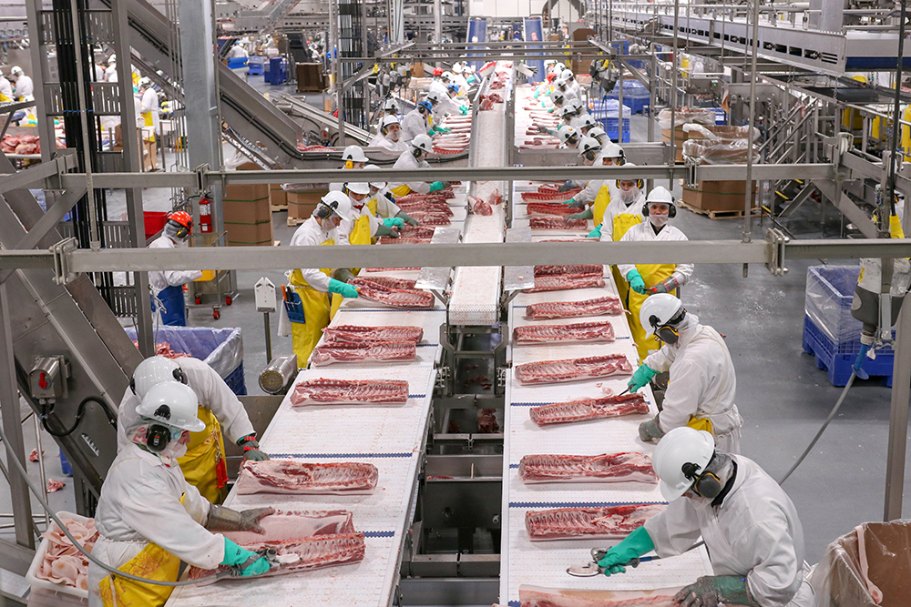 HyLife lays off 87 employees from Neepawa, Steinbach – Brandon Sun