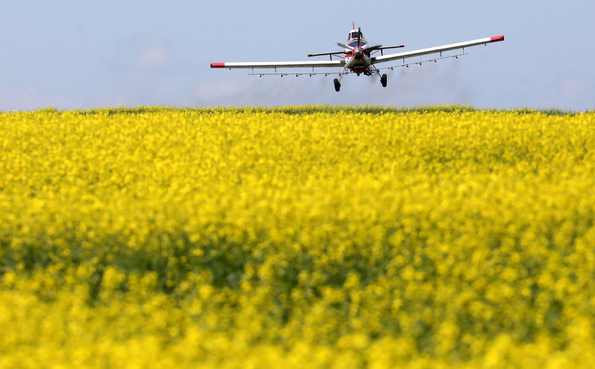 Aerial spray business soars – Brandon Sun