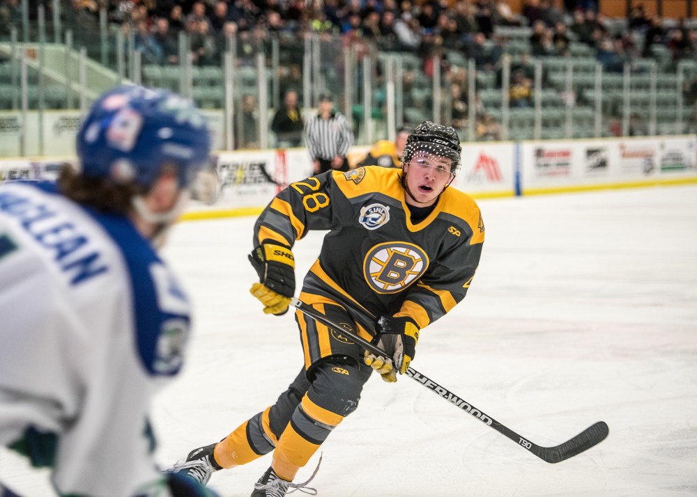Hamilton follows hockey path to SJHL – Brandon Sun