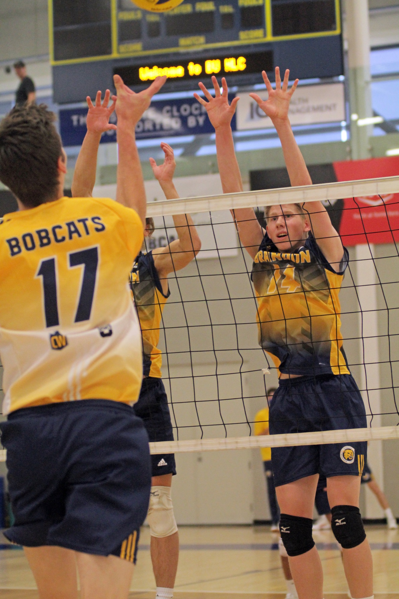 Holding court – Brandon Sun