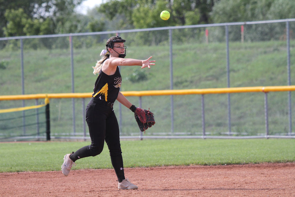 City council hands out softball grants at all-virtual meeting – Brandon Sun