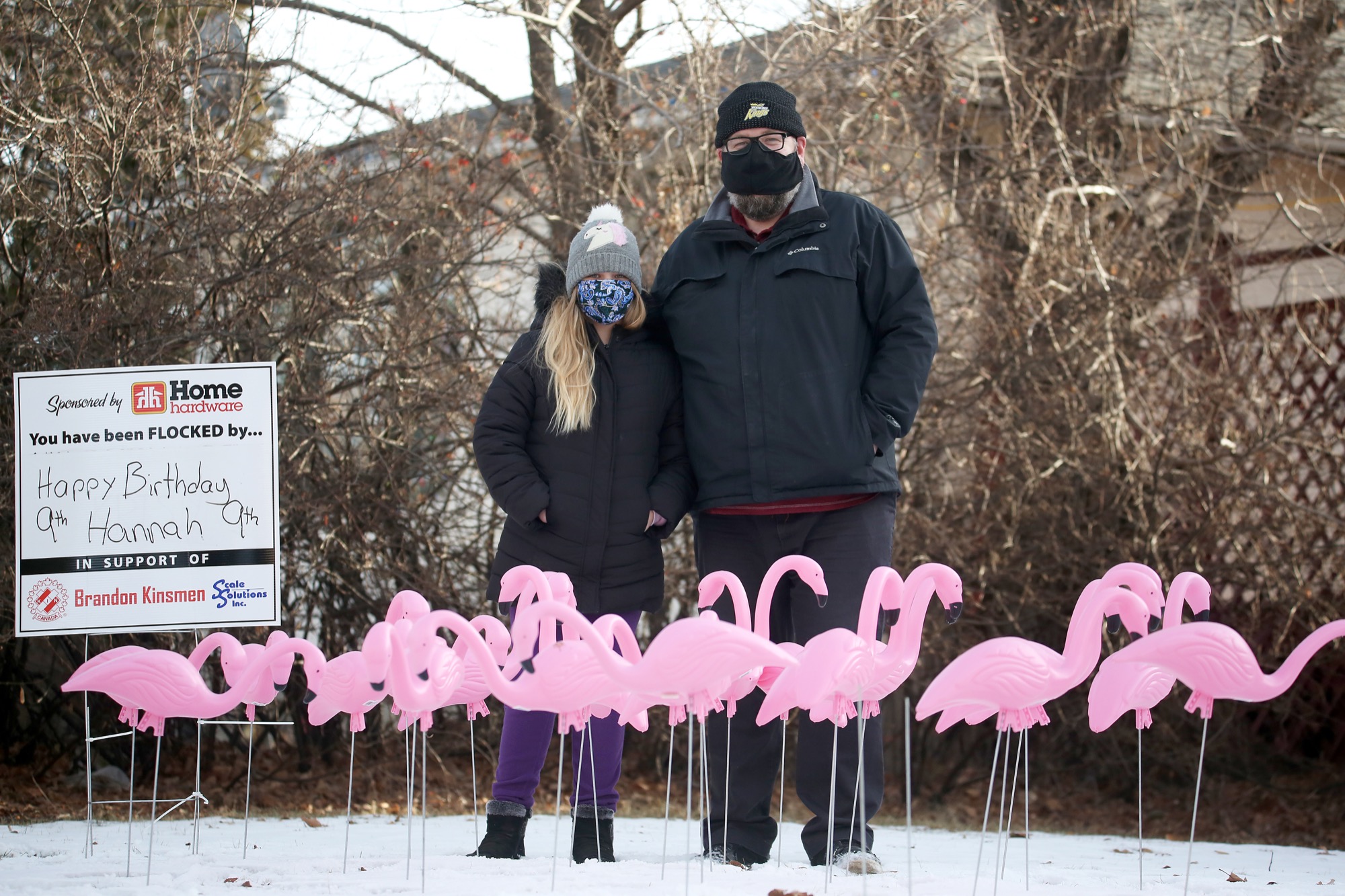 Flamingos brightening people’s days – Brandon Sun