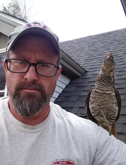 Walter the friendly grouse becomes man’s backyard companion – Brandon Sun