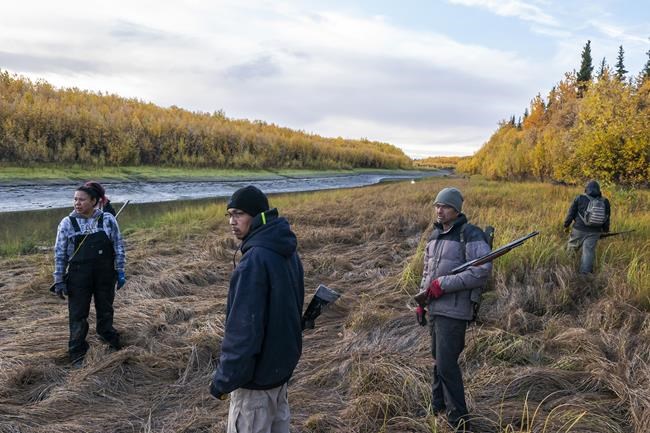 Dwindling Alaska salmon leave Yukon River tribes in crisis – Brandon Sun