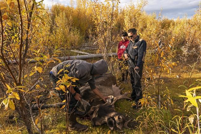 Dwindling Alaska salmon leave Yukon River tribes in crisis – Brandon Sun