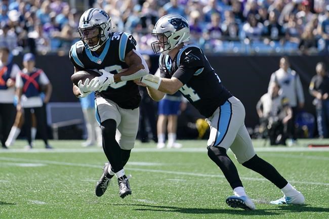 Ready to run: Panthers’ offense will look ‘vastly different’ – Brandon Sun