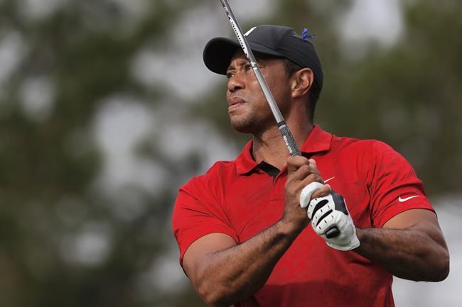 On the prowl? Tiger arrives at Masters, unsure of playing – Brandon Sun