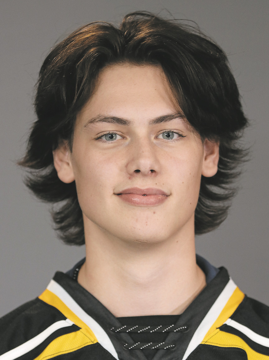 Wheat Kings make cuts as pre-season ends – Brandon Sun