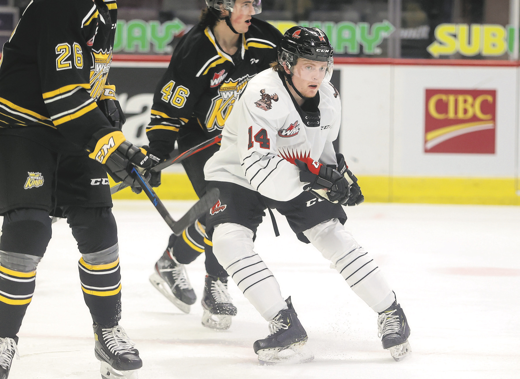 WHL NOTEBOOK: Anderson finds silver lining in surgery – Brandon Sun