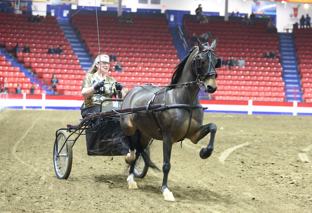 Passion keeps hackney drivers rolling – Brandon Sun