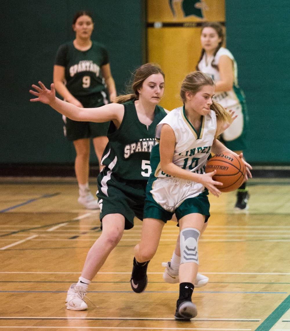 Neelin girls advance to JV semifinals – Brandon Sun