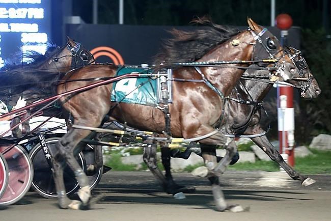 Leaving family to race in Ontario very tough for driver Yannick Gingras ...