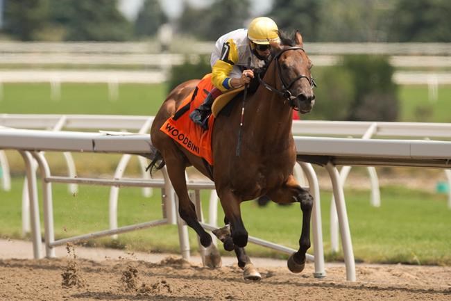 Questions remain but Attfield still pointing Shirl’s Speight to ...