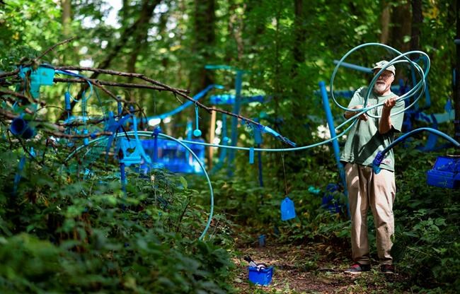 Public support ensures outdoor ‘Blue Loop’ art project stays – Brandon Sun