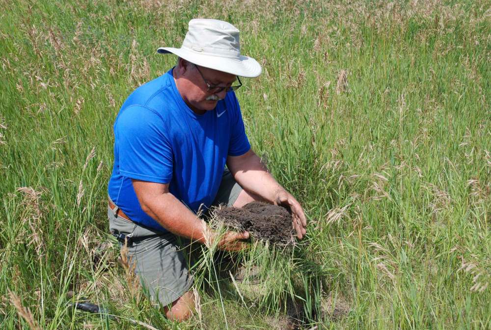 Farmer adopts unique grazing method – Brandon Sun