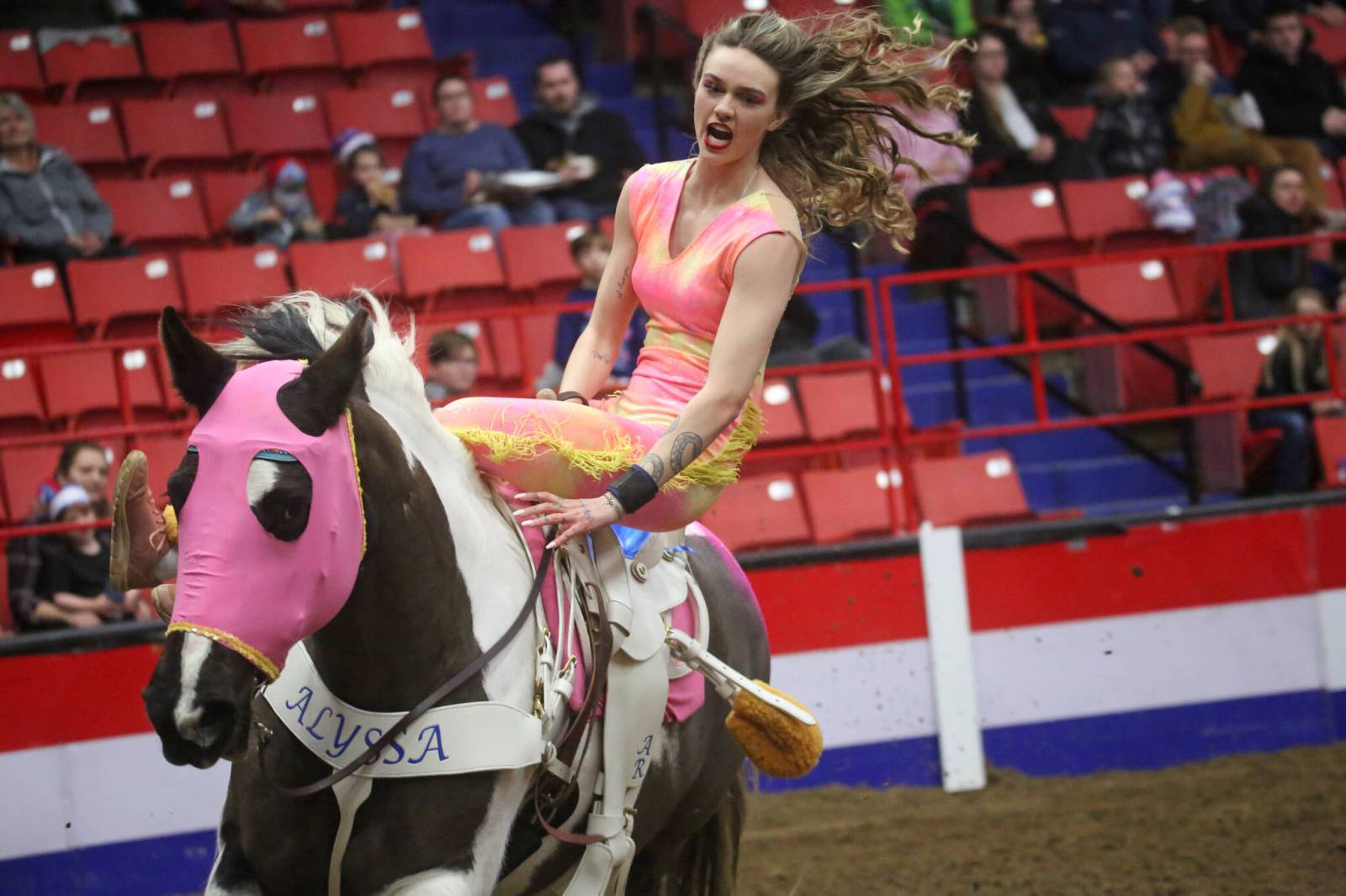 Tom Bishop’s Wild West Show takes centre stage – Brandon Sun
