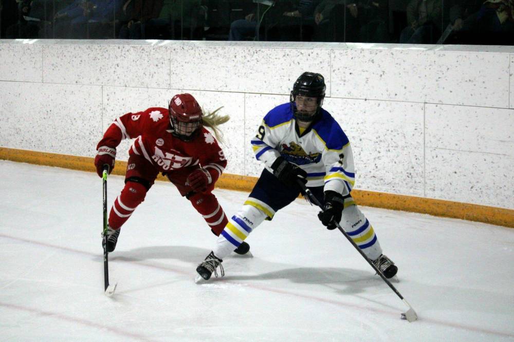 Hounds take Game 1 over Wildcats – Brandon Sun