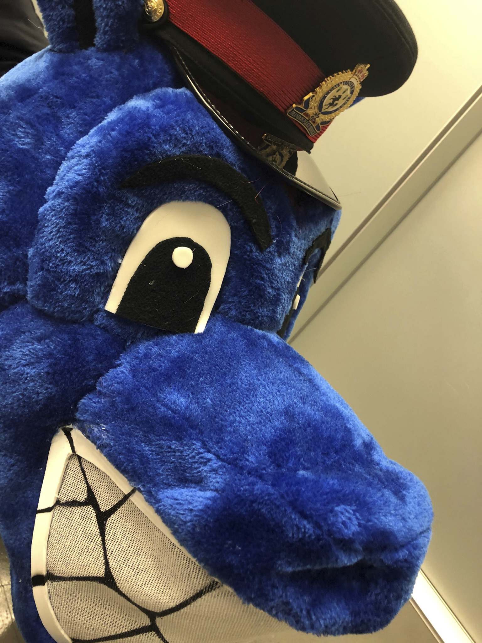 BPS mascot finally gets a name – Brandon Sun