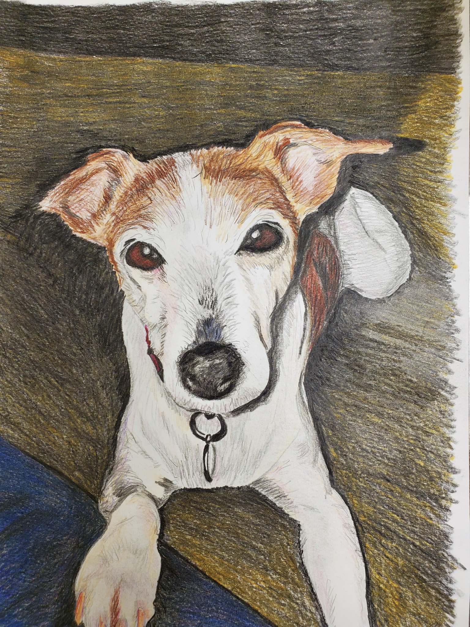 New hobbies picked up during lockdown – Brandon Sun