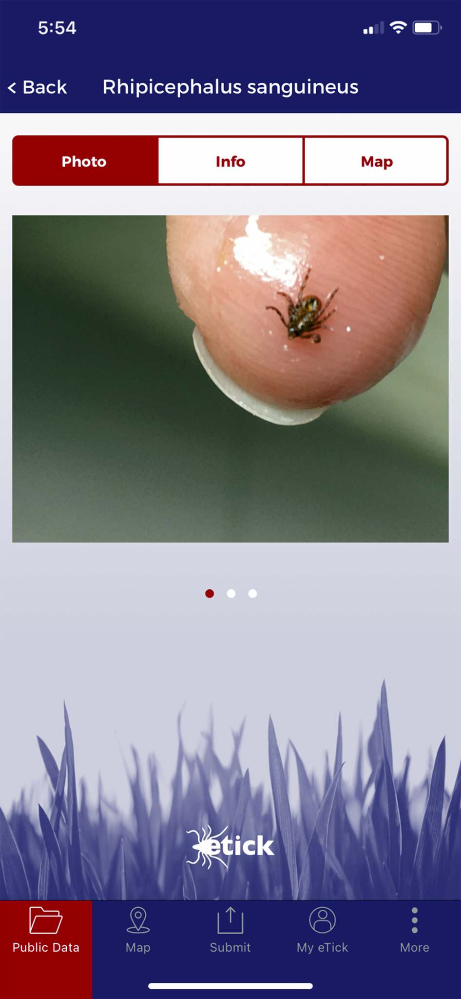 App makes it easier to track pesky ticks – Brandon Sun