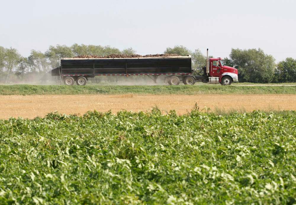2021 Royal Manitoba Winter Fair Farm Family Awards Fifth-generation ...