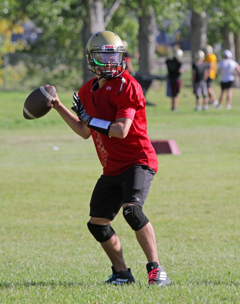 QB Nevin primed to control Crocus offence – Brandon Sun