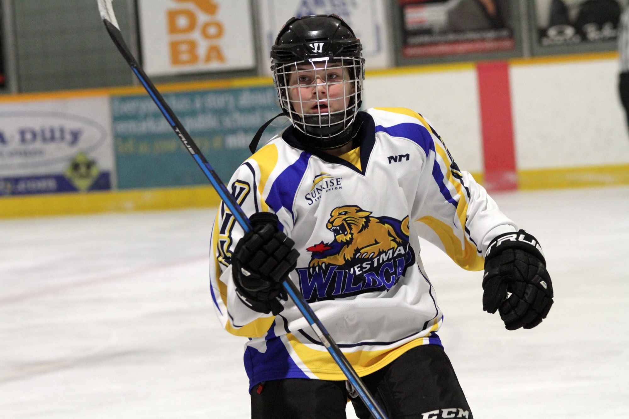 Wildcats playing the long game in title defence – Brandon Sun