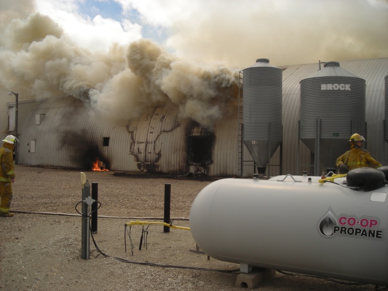 Poultry barn burns – Brandon Sun