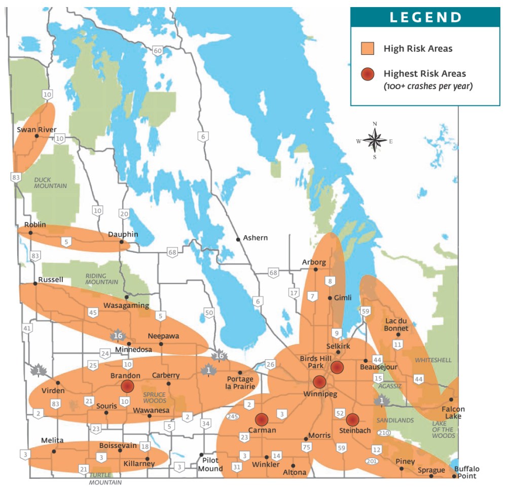 Westman one of the top areas for cars hitting deer, says MPI – Brandon Sun