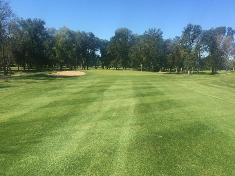 Wheat City Golf Course offering special fall prices – Brandon Sun