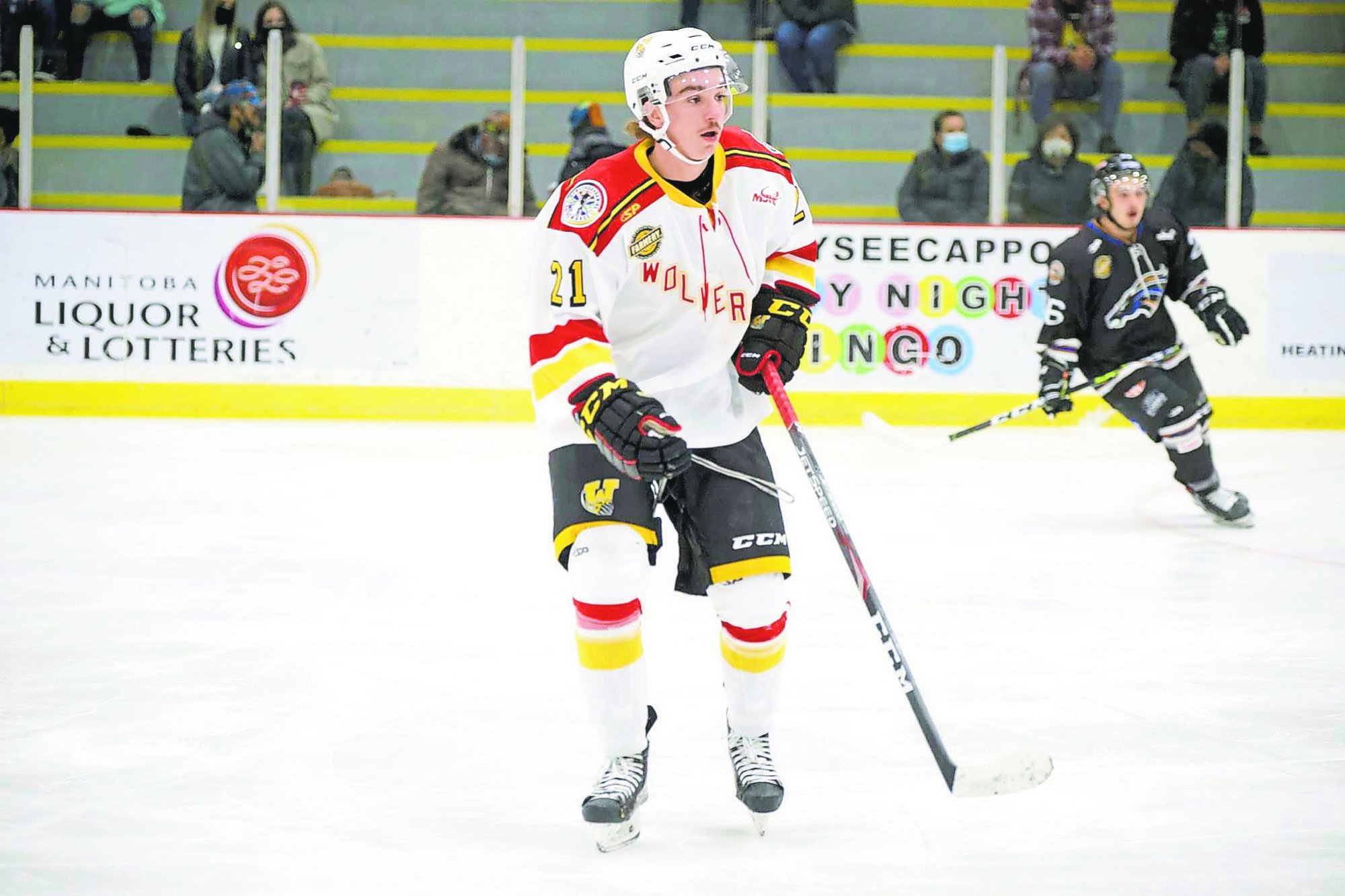 Wolter makes waves in Poland – Brandon Sun