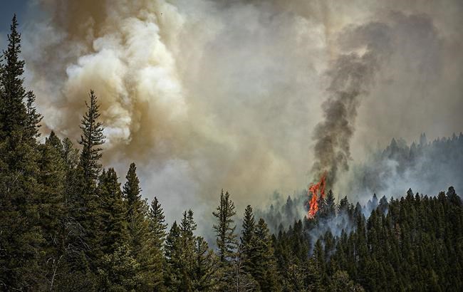 Rain, snow slow New Mexico fire, but hot, dry weather looms – Brandon Sun