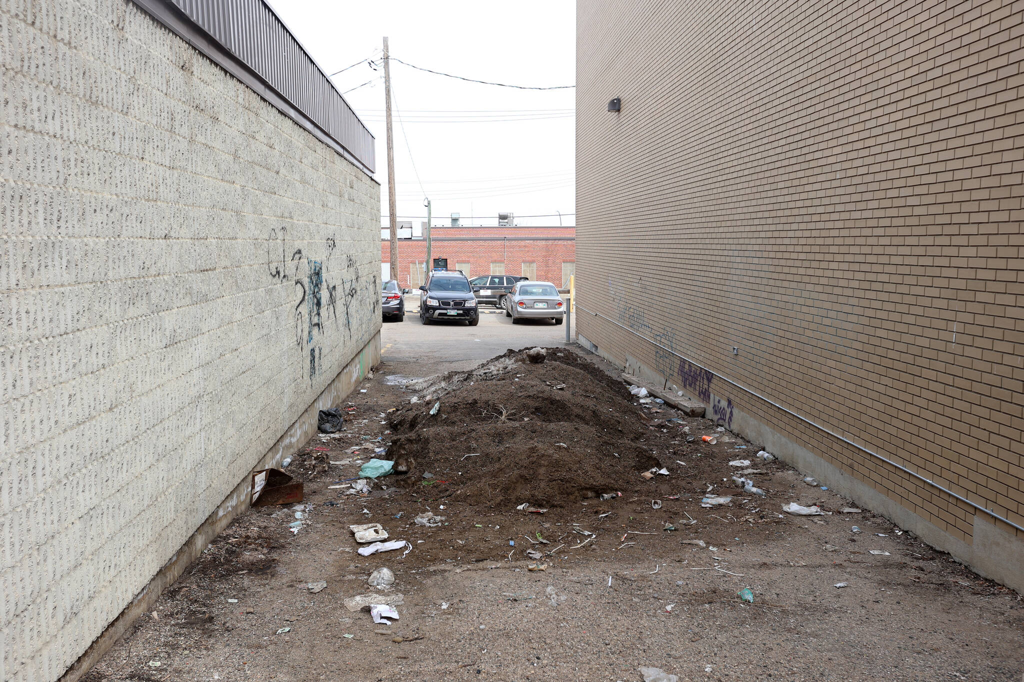 Litter bug making a home out of Brandon – Brandon Sun