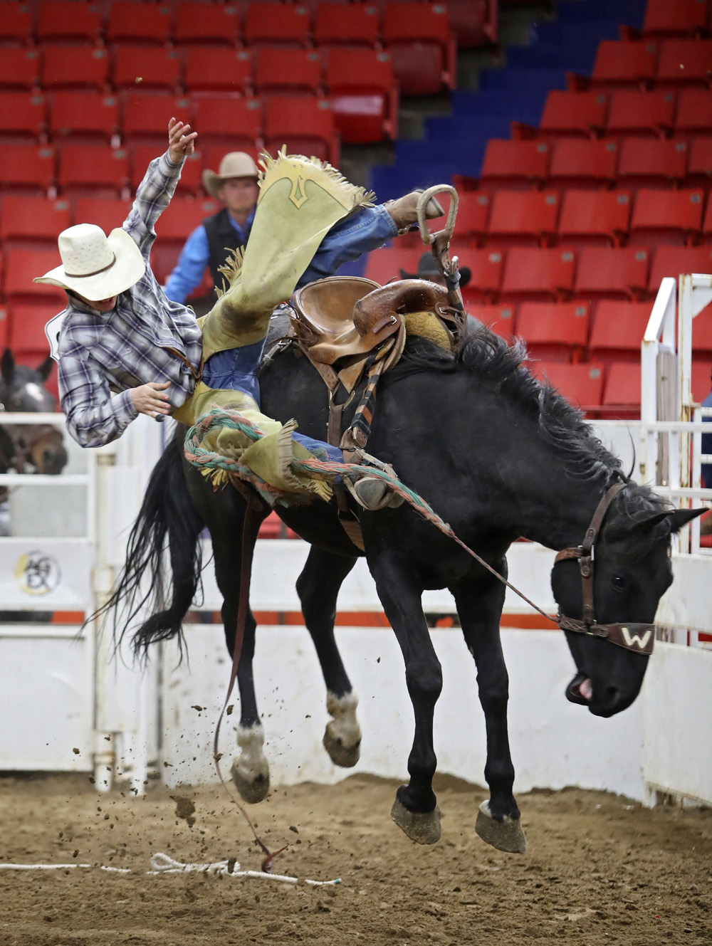 TURN UP THE RODEO – Brandon Sun