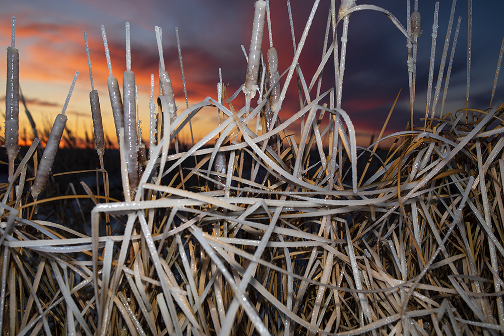 SIMPLY THE BEST — Photojournalist Tim Smith’s best of 2019 – Brandon Sun