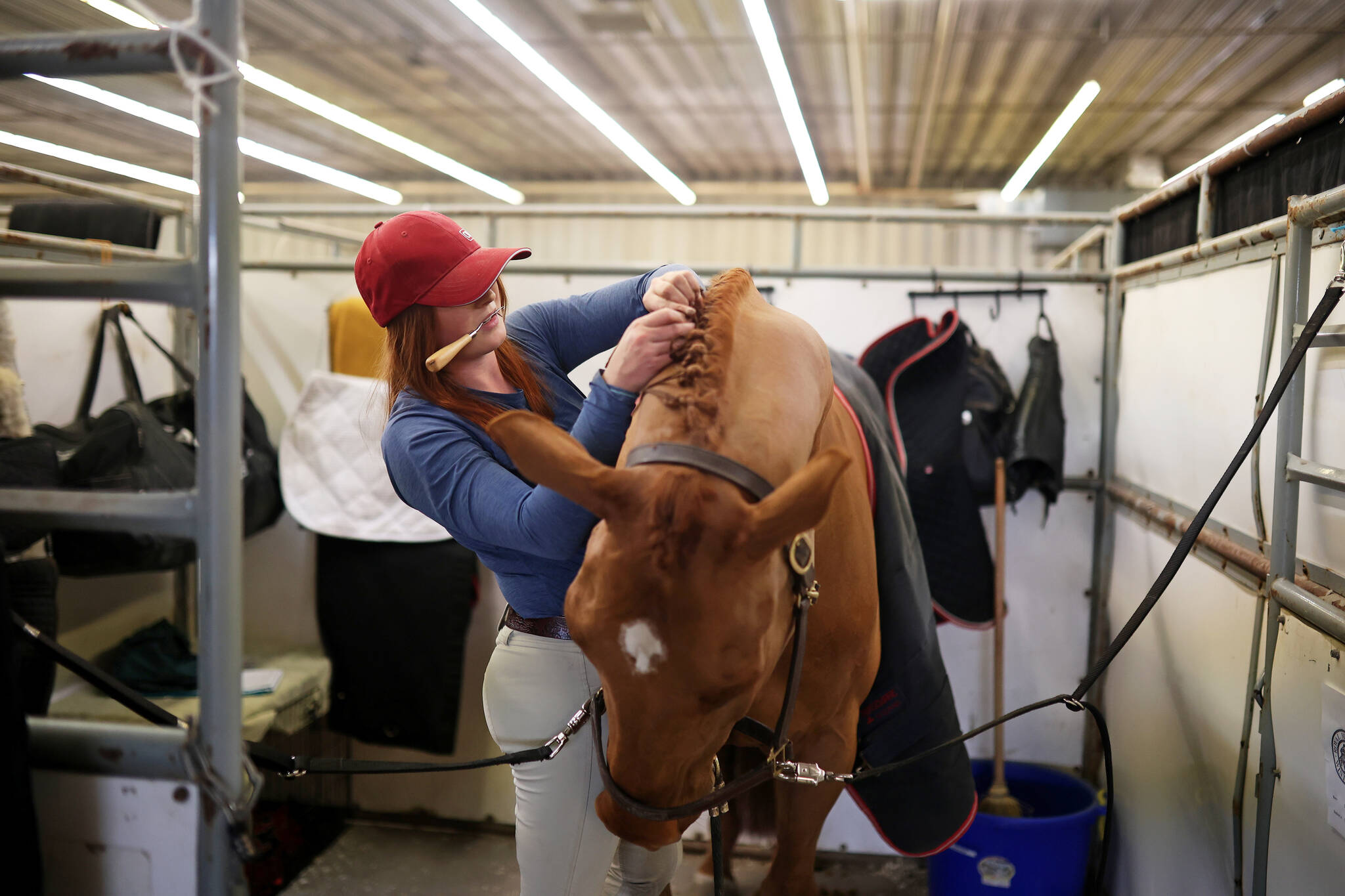 The 2022 Royal Manitoba Winter Fair – Brandon Sun
