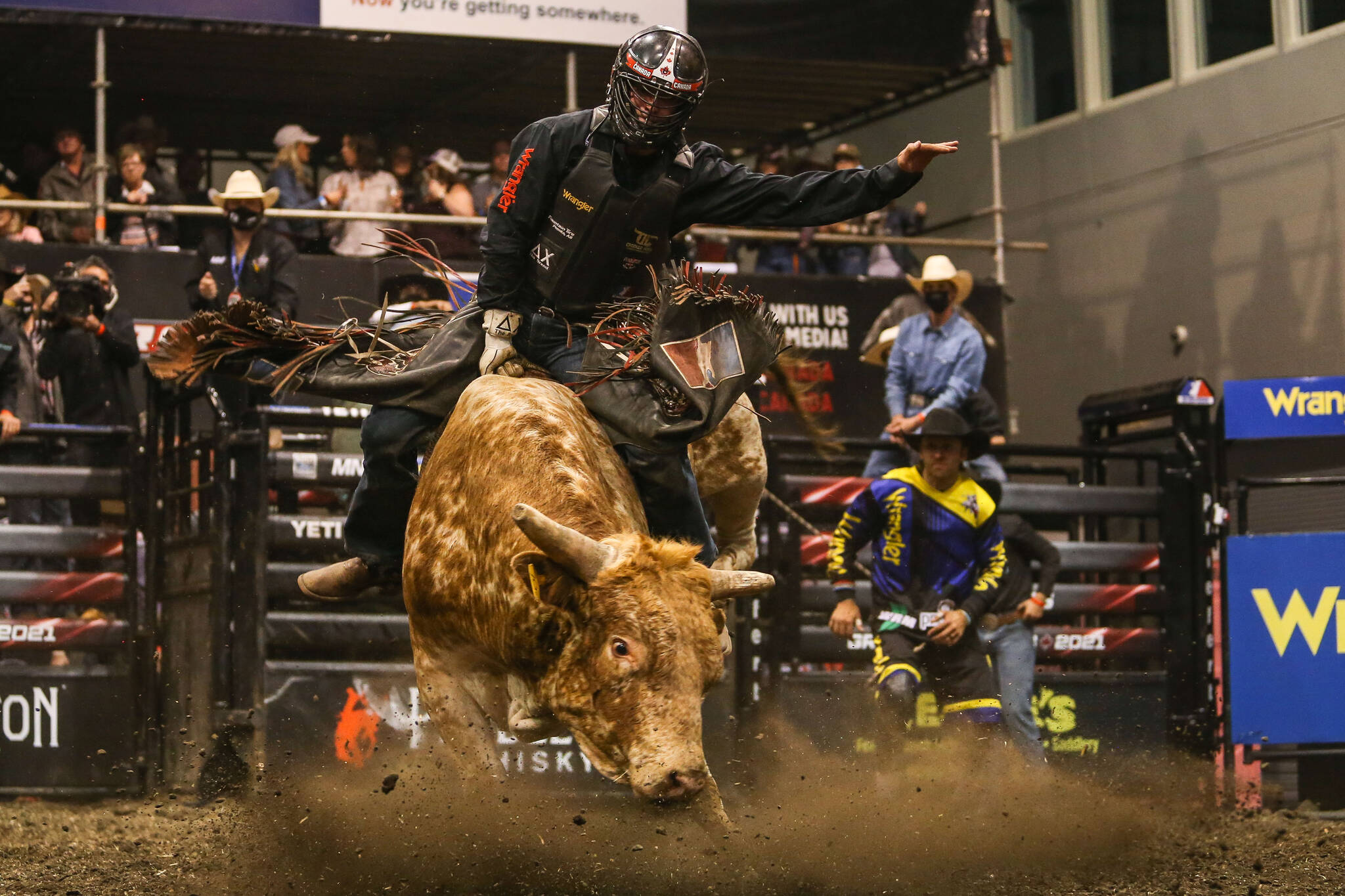 Bull riding Cup Series en route to Brandon – Brandon Sun