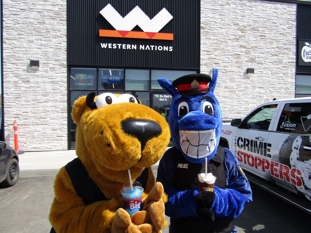 Police launching Operation Brain Freeze – Brandon Sun