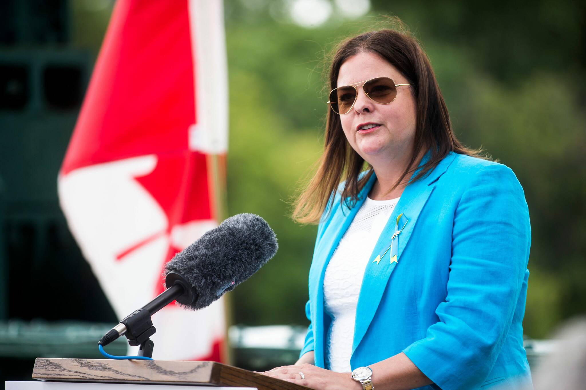 Stefanson carries baggage forward – Brandon Sun